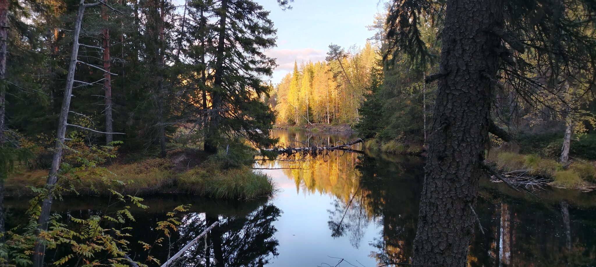 Irmeli Mustalahden luento: Ympäristöyhteistyö ja kansalaisen ...