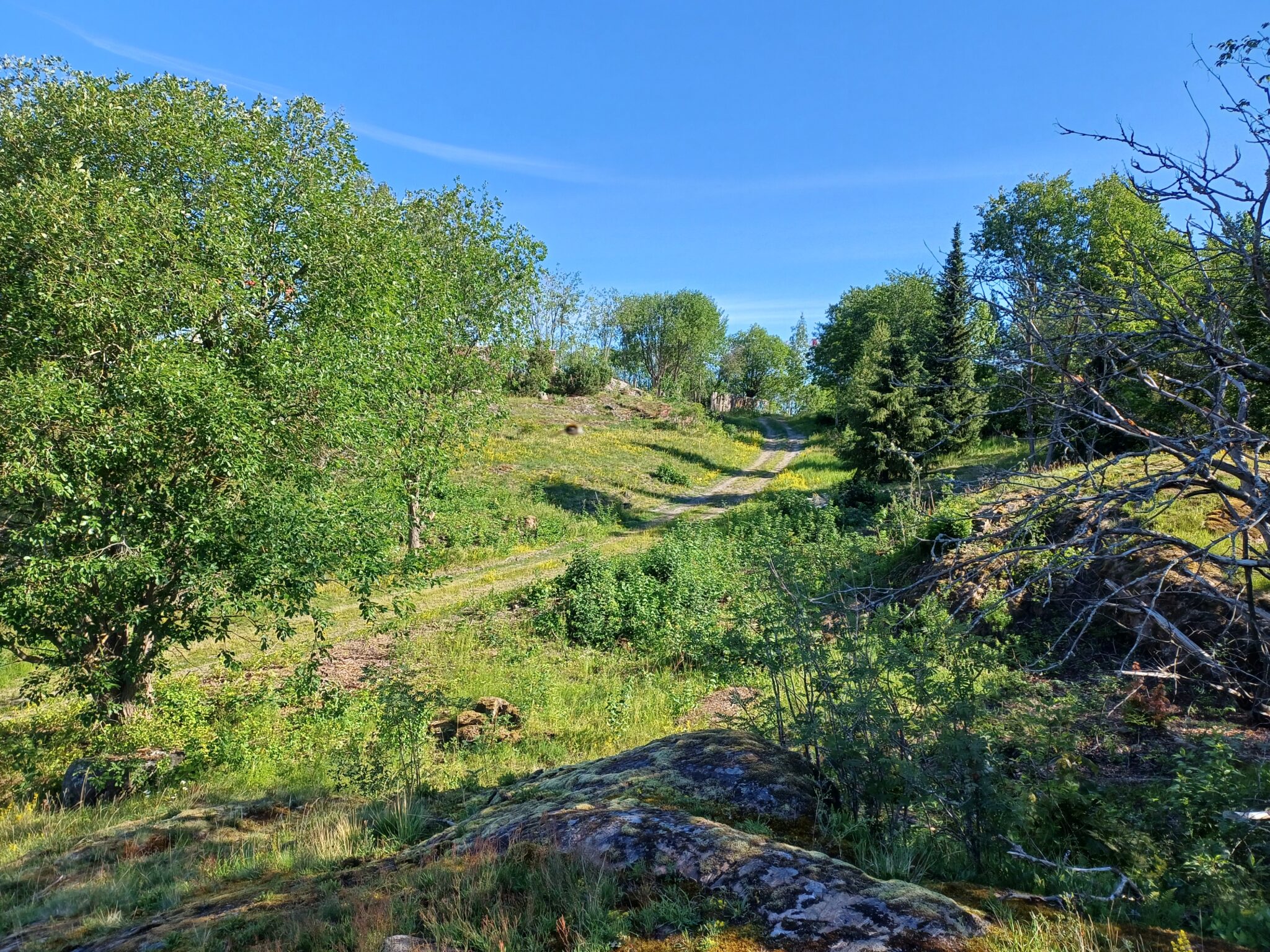 Luonto hoitaa meitä, ja siksi me hoidamme luontoa! - Turku