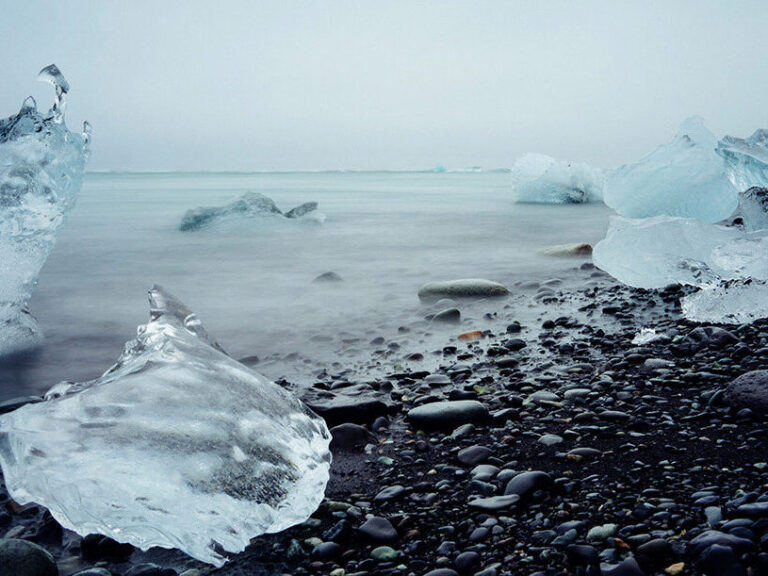 Suomen luonnonsuojeluliitto