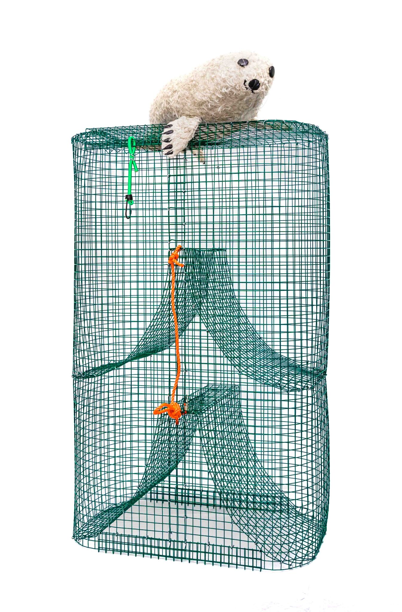 Saimaa-katiska - Suomen luonnonsuojeluliitto