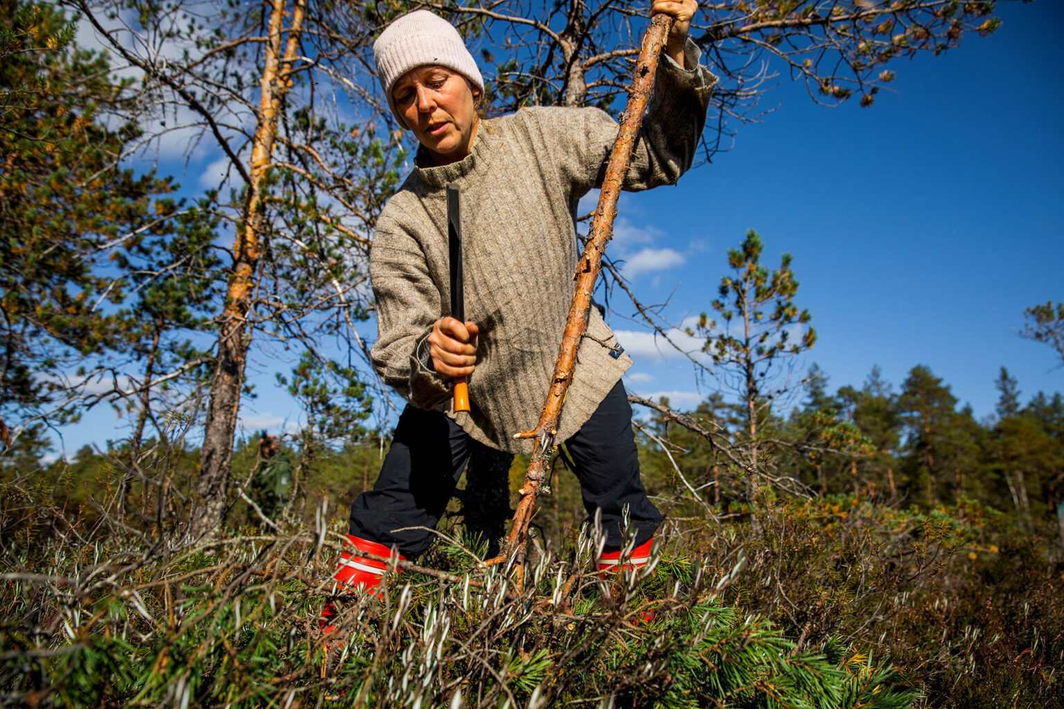 Soiden puolustaja - Suomen luonnonsuojeluliitto