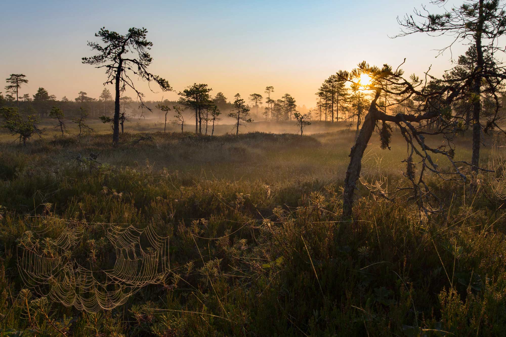 Luontokato - Suomen luonnonsuojeluliitto